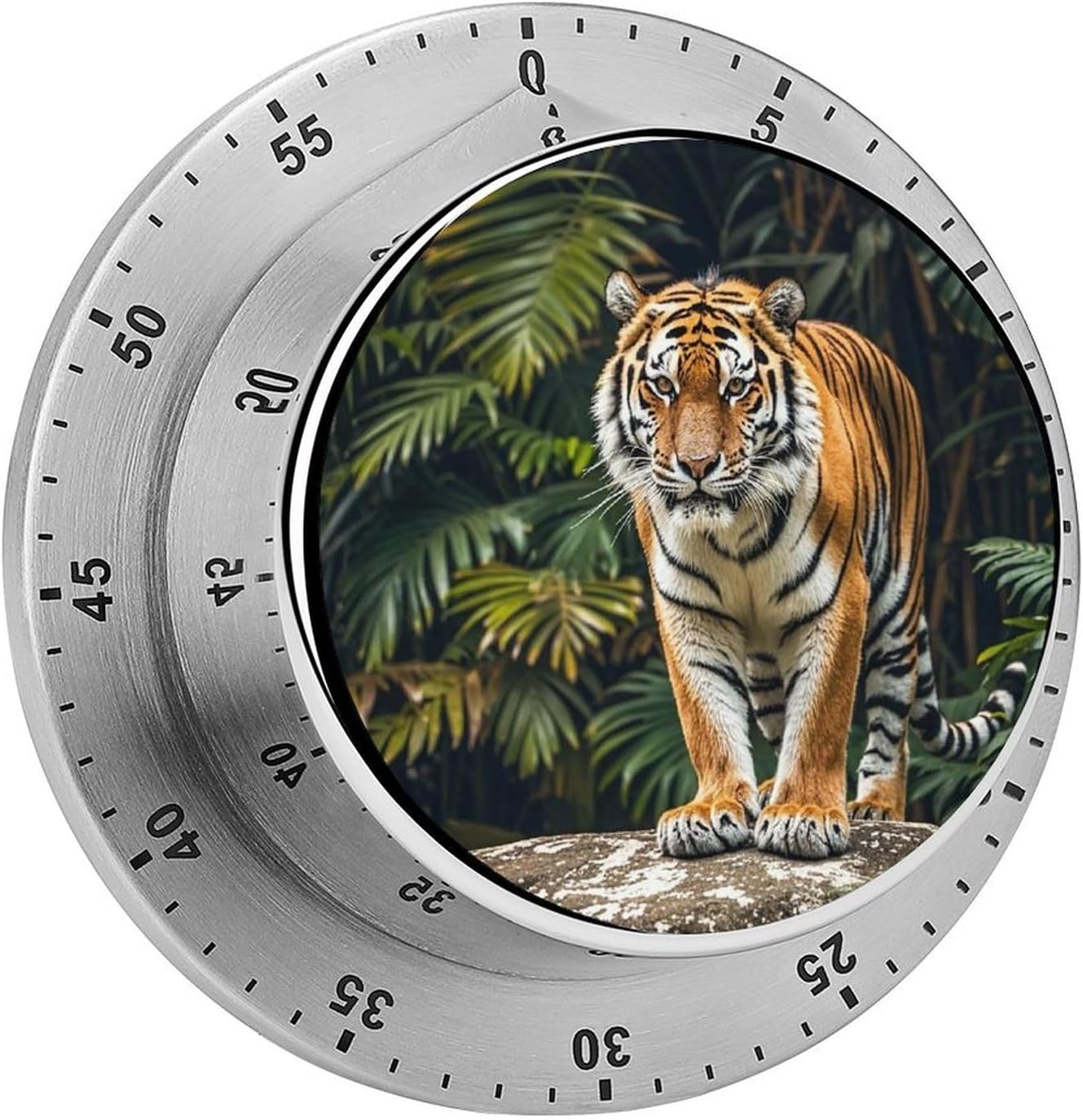 Amazon.com: Cool Tiger Egg Timers for Kitchen Mechanical Kitchen Timers ...