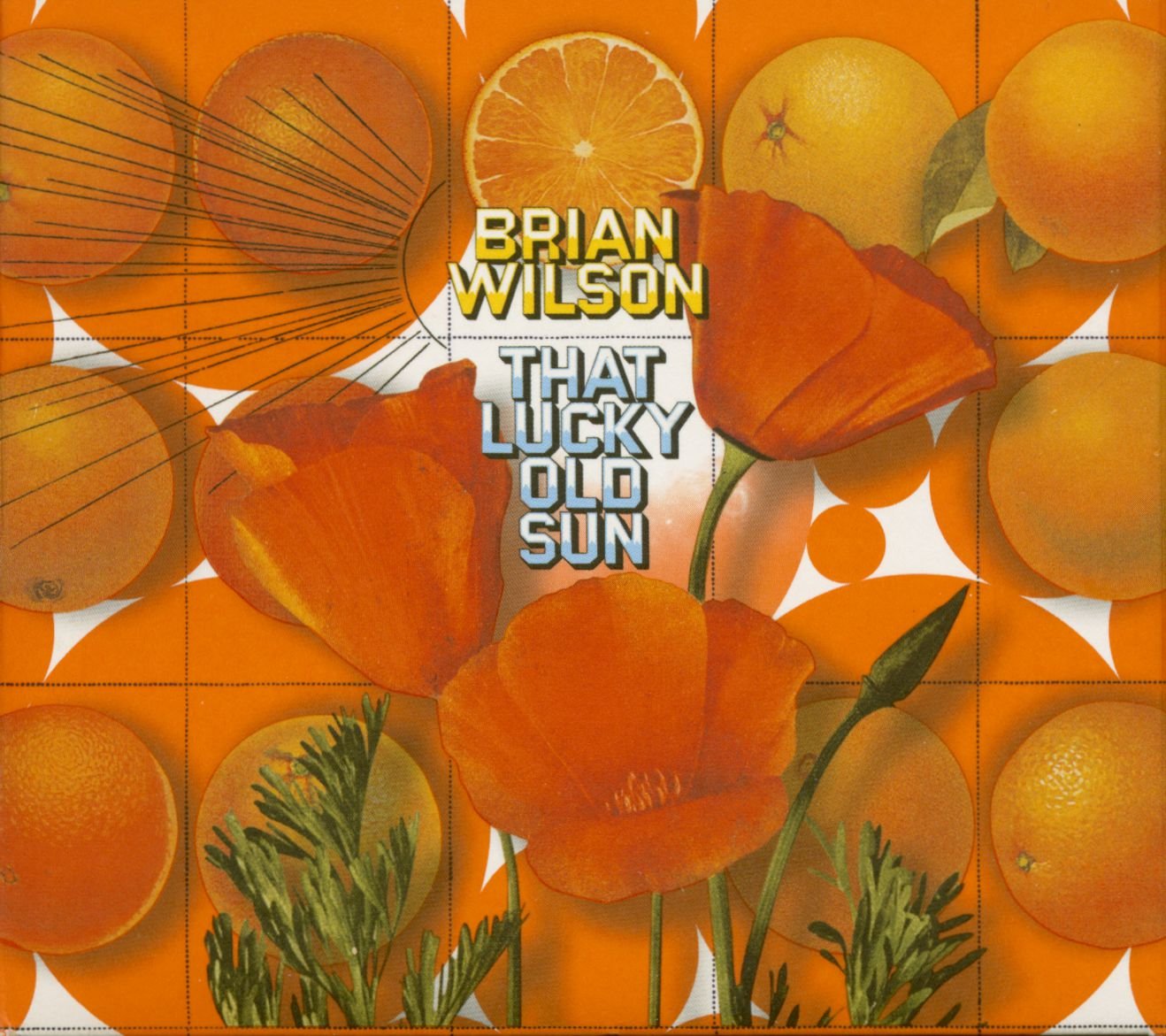 Brian Wilson - That Lucky Old Sun - Amazon.com Music