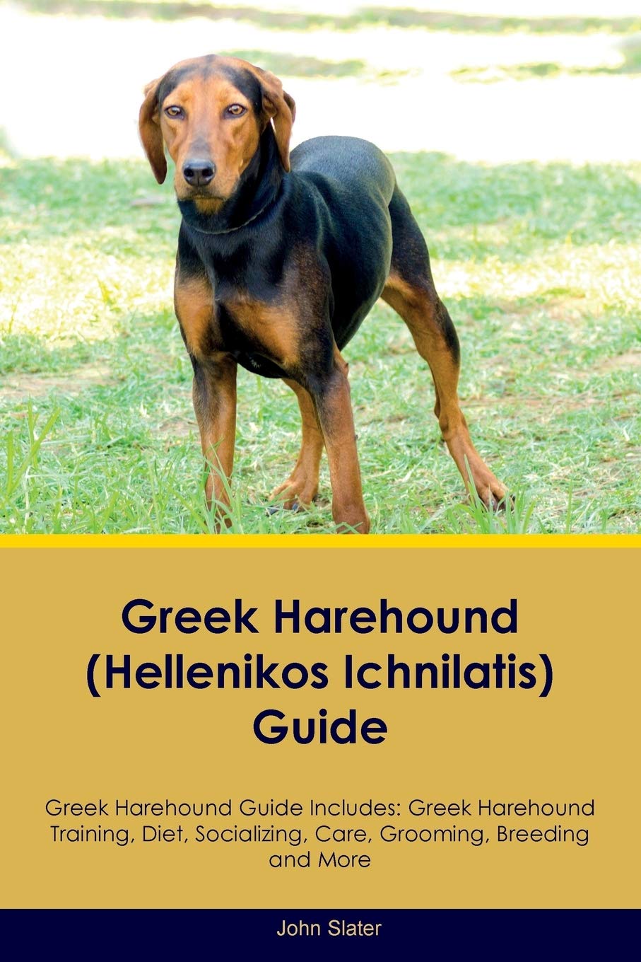 What Is The Breed Of Greek Harehound