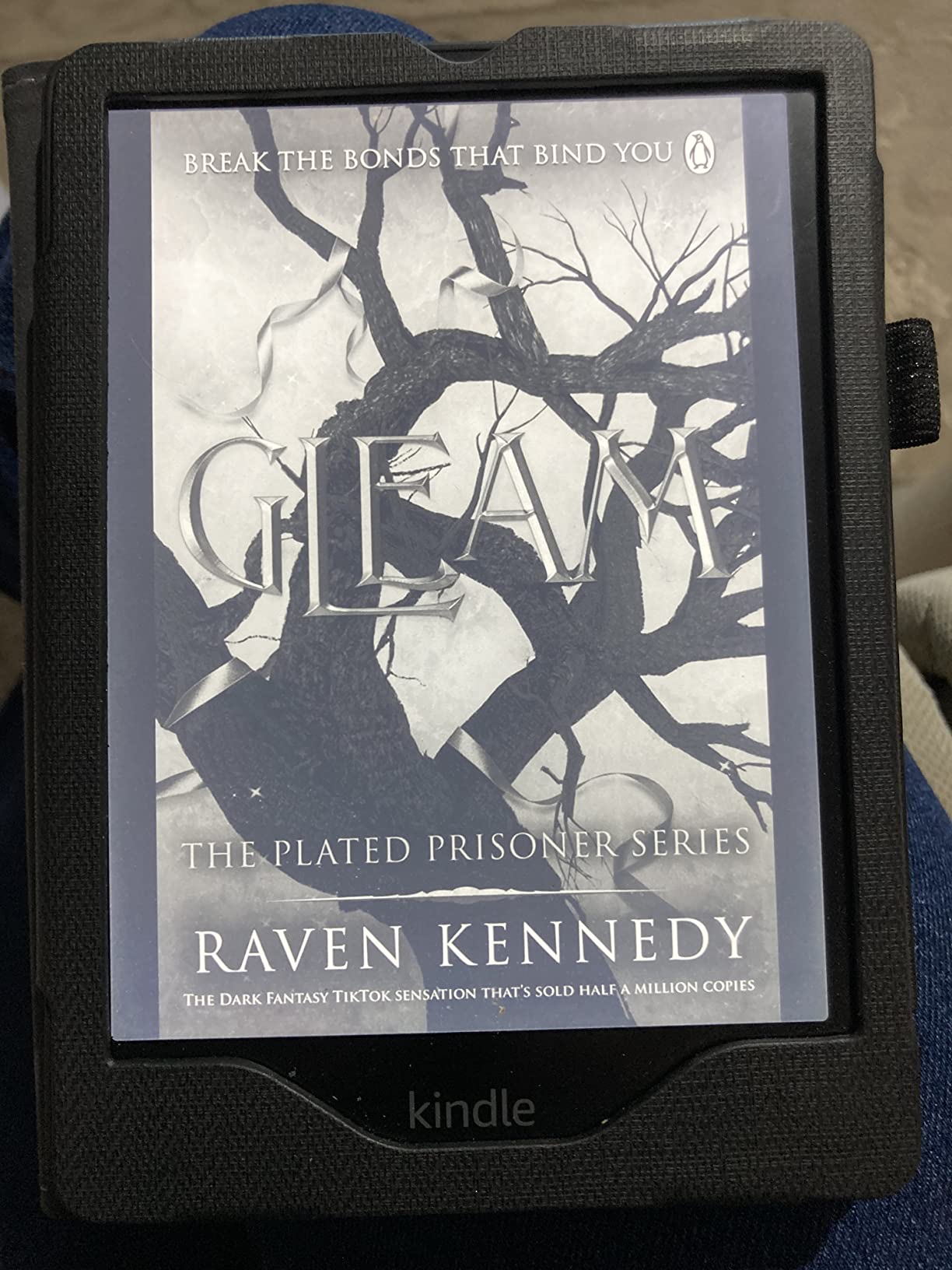 Gleam: The Plated Prisoner Series Vol 3: The TikTok fantasy sensation ...