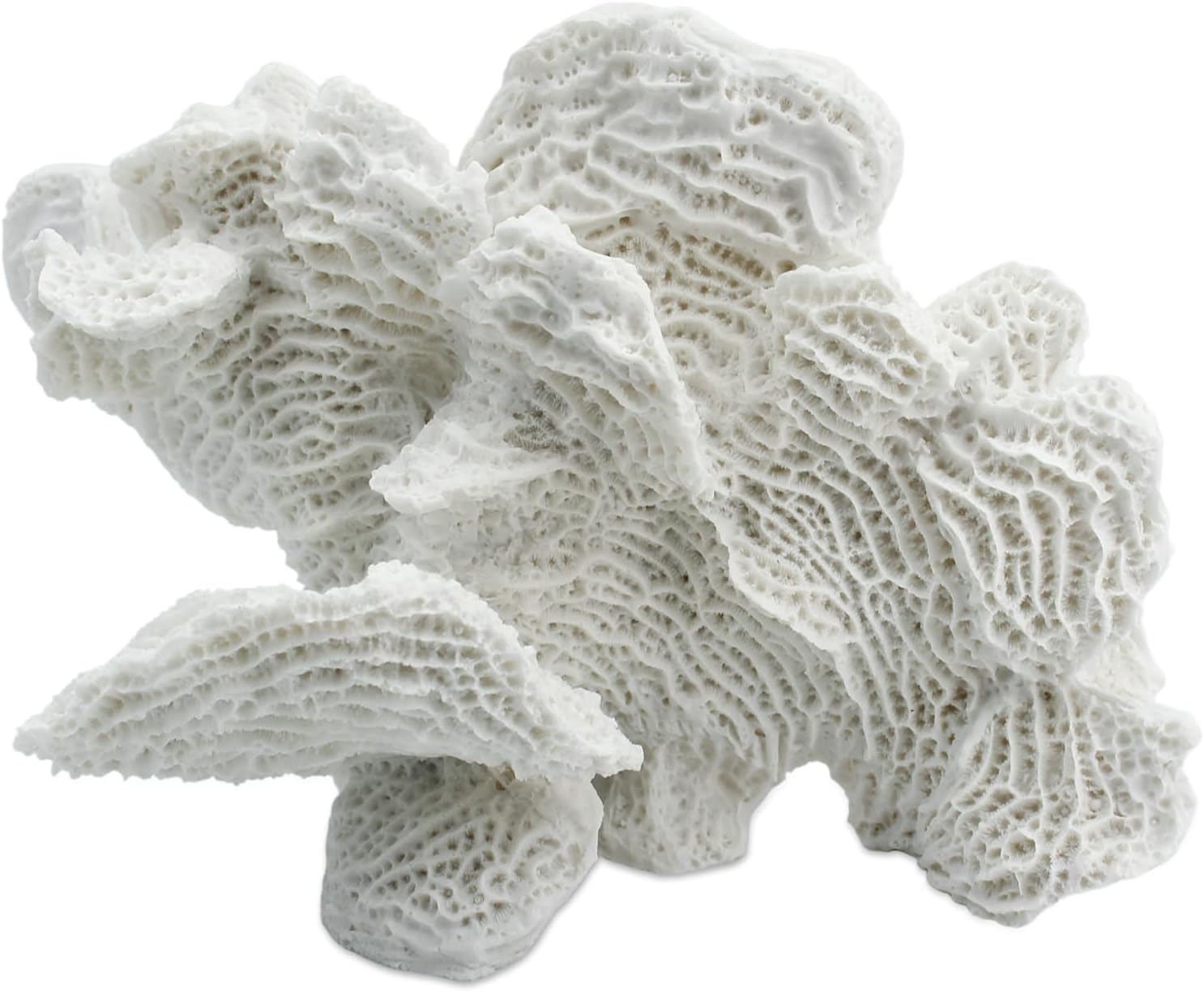 Amazon.com: Tirifer Pack of 2 White Coral Decor, White Coral Reef, Faux ...