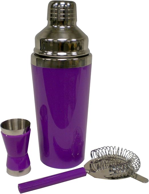 Amazon.com: Global Decor Stainless Steel Purple Martini Shaker Set ...