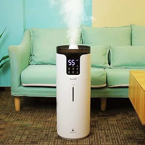 Amazon.ca: humidifier