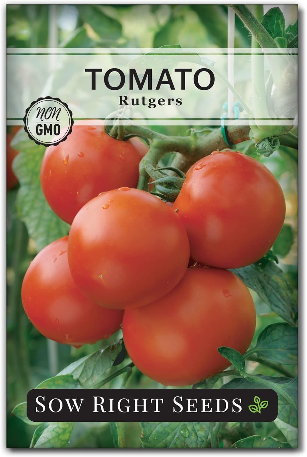 Amazon.com : Sow Right Seeds - Rutgers Tomato Seeds for Planting - Non ...