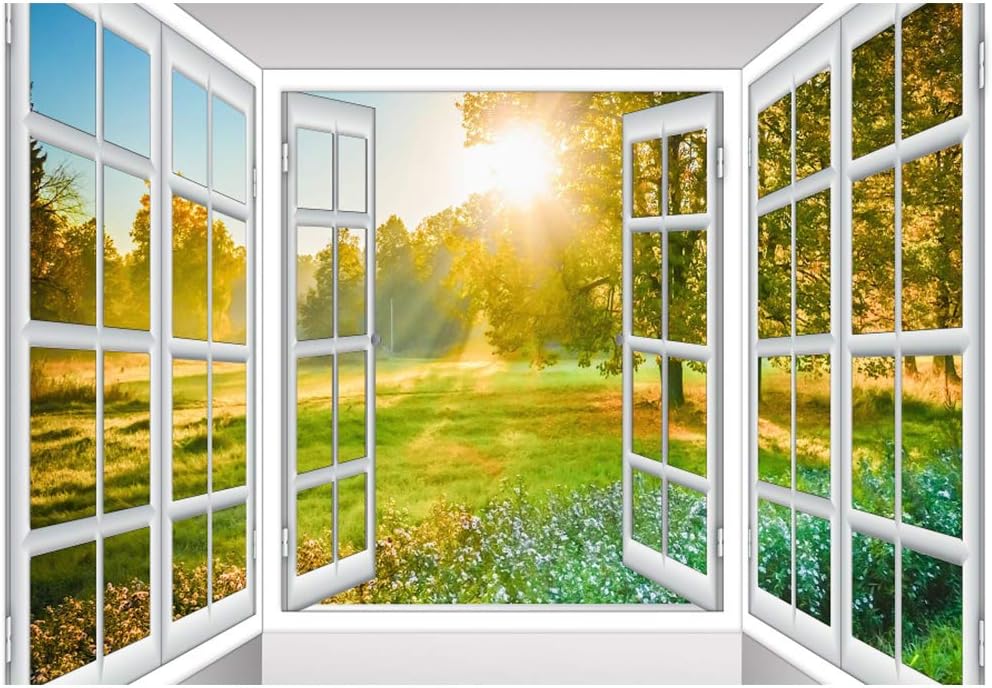 OERJU 7x5ft Window Backdrop white frame window spring scene sunshine ...