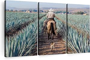 Amazon.com: Elephant Stock Inspecting Agave Plantation Wall Art ...