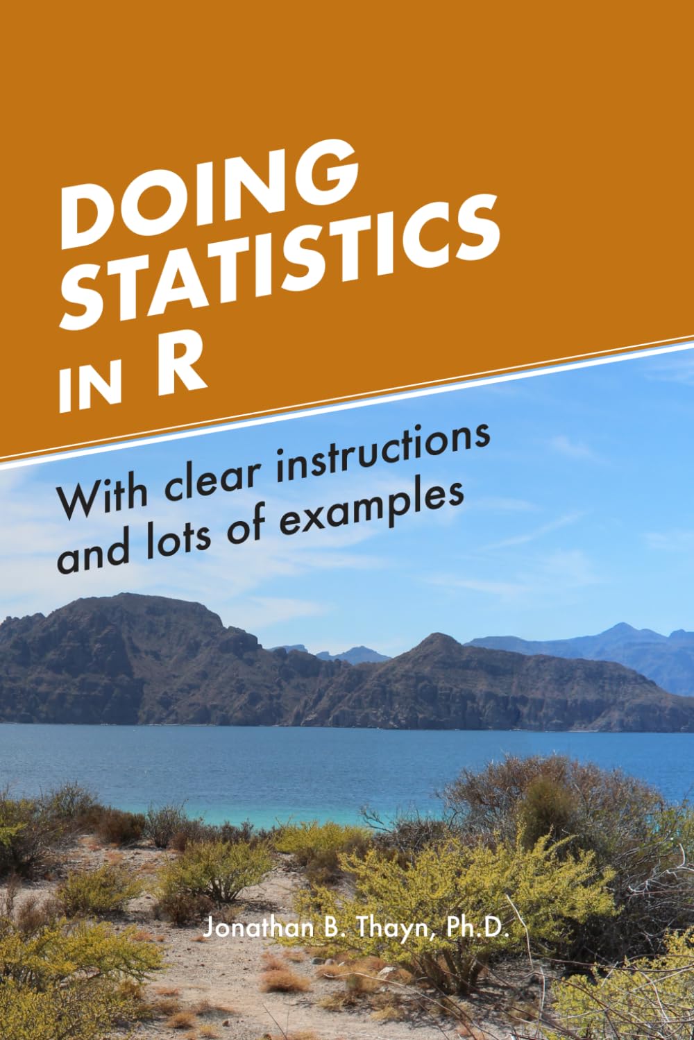 Amazon.com: Doing Statistics in R: With Examples and Clear Instructions ...