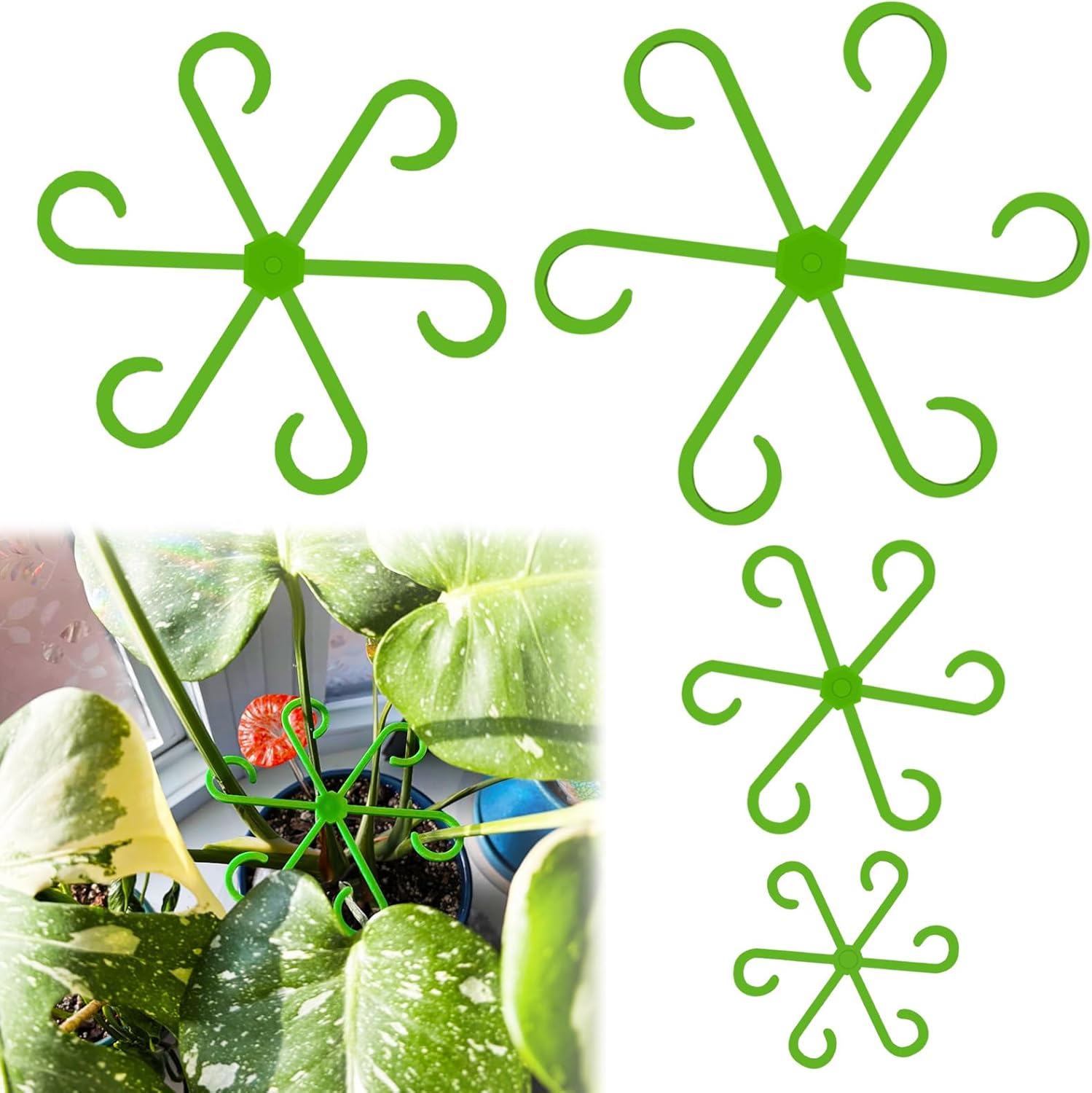 Amazon.com : Paradi star 4Pcs Plant Stem Supports,Climbing Houseplant ...