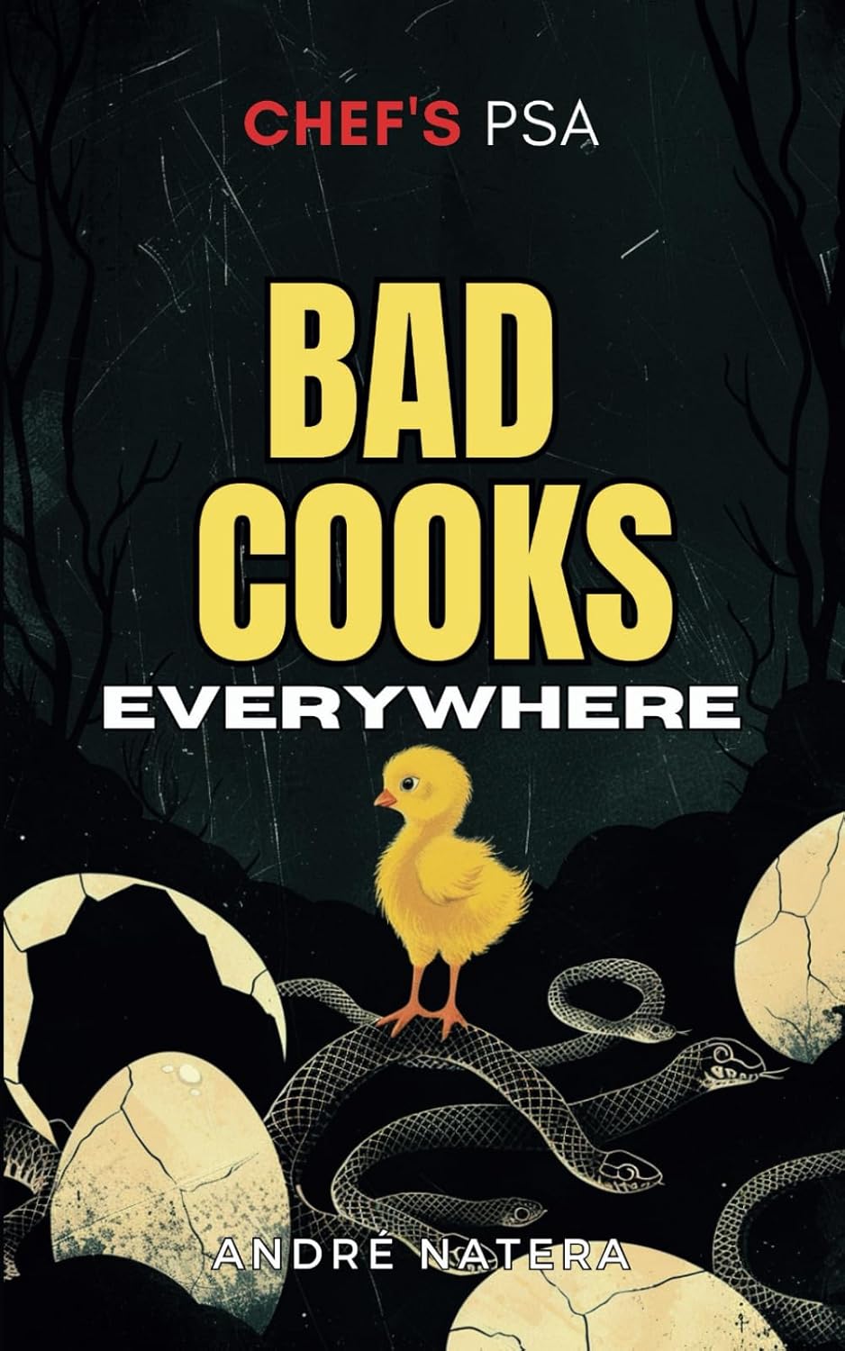 Chef's PSA: Bad Cooks Everywhere: Natera, Andre: 9798326665447: Amazon ...