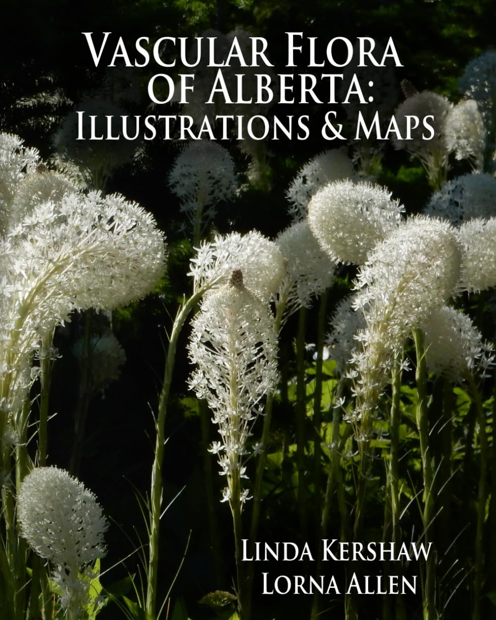 Vascular Flora of Alberta: Illustrations and Maps: Kershaw, Linda ...