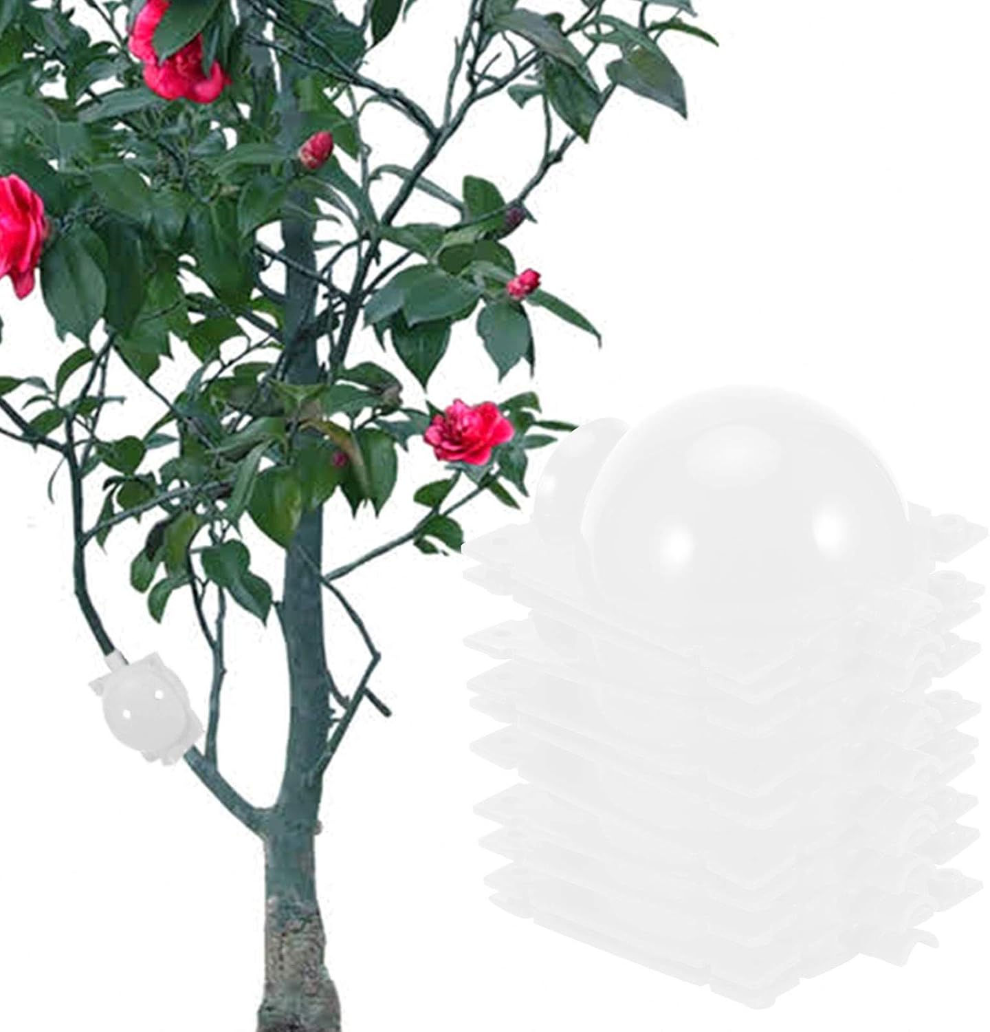 Amazon.com : 5 Set Plant Rooting Device Ball, Reusable Plant Growing ...