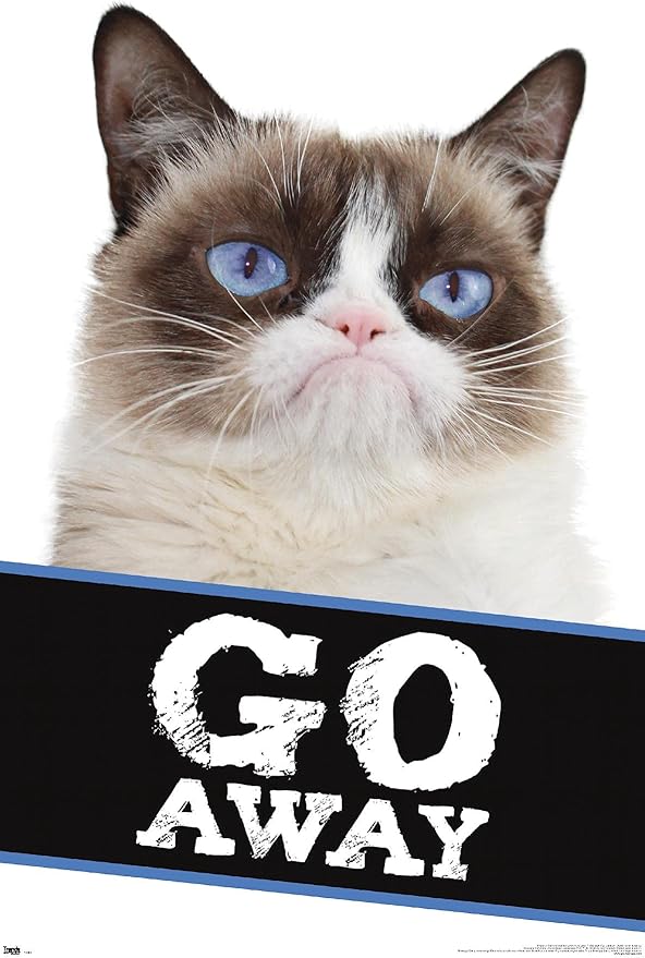 Amazon.com: Trends International Grumpy Cat Go Away Wall Poster 22.375 ...