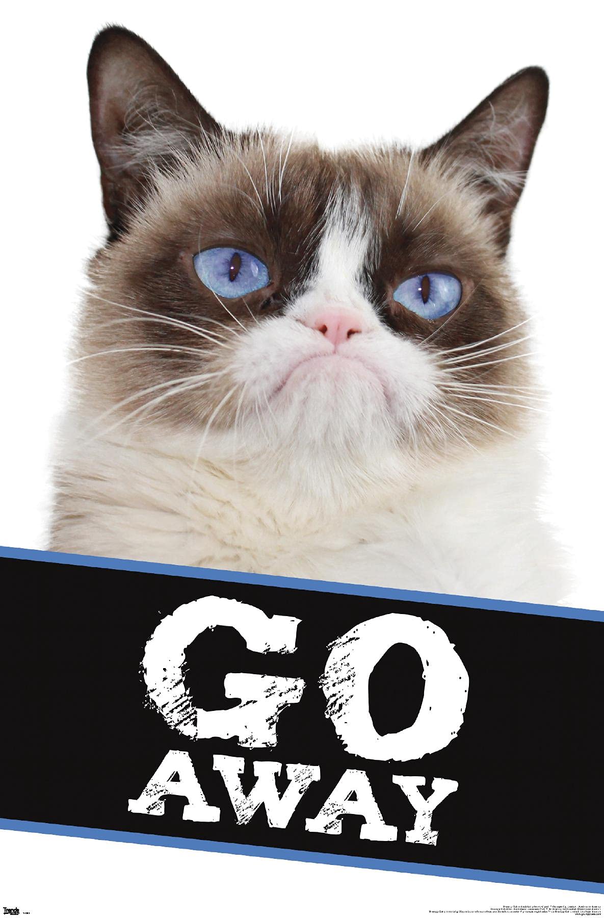 Amazon.com: Trends International Grumpy Cat Go Away Wall Poster 22.375 ...