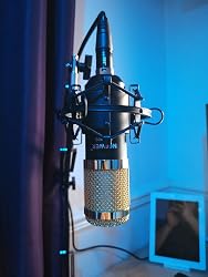 Neewer® NW-800 Professional Studio Broadcasting Recording Condenser ...