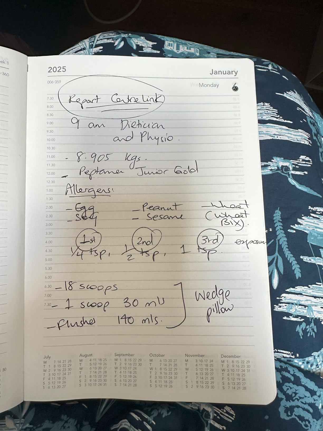 Collins Edge Rainbow 2025 Diary - A5 Day to Page Planner (with ...