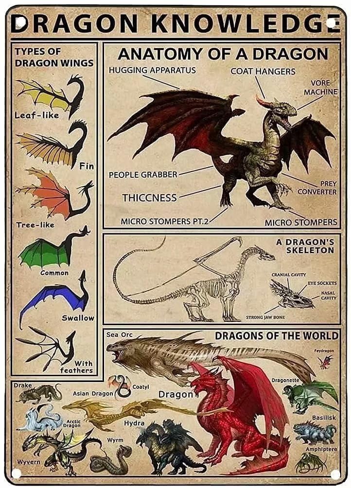 Amazon.com : Old Tin Plaque Vintage Dragon Knowledge Metal Tin Signage ...