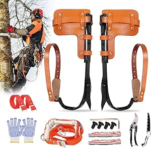 Amazon.com : MYCGJH Upgrade Cow Leather Tree Climbing Spikes Set with ...