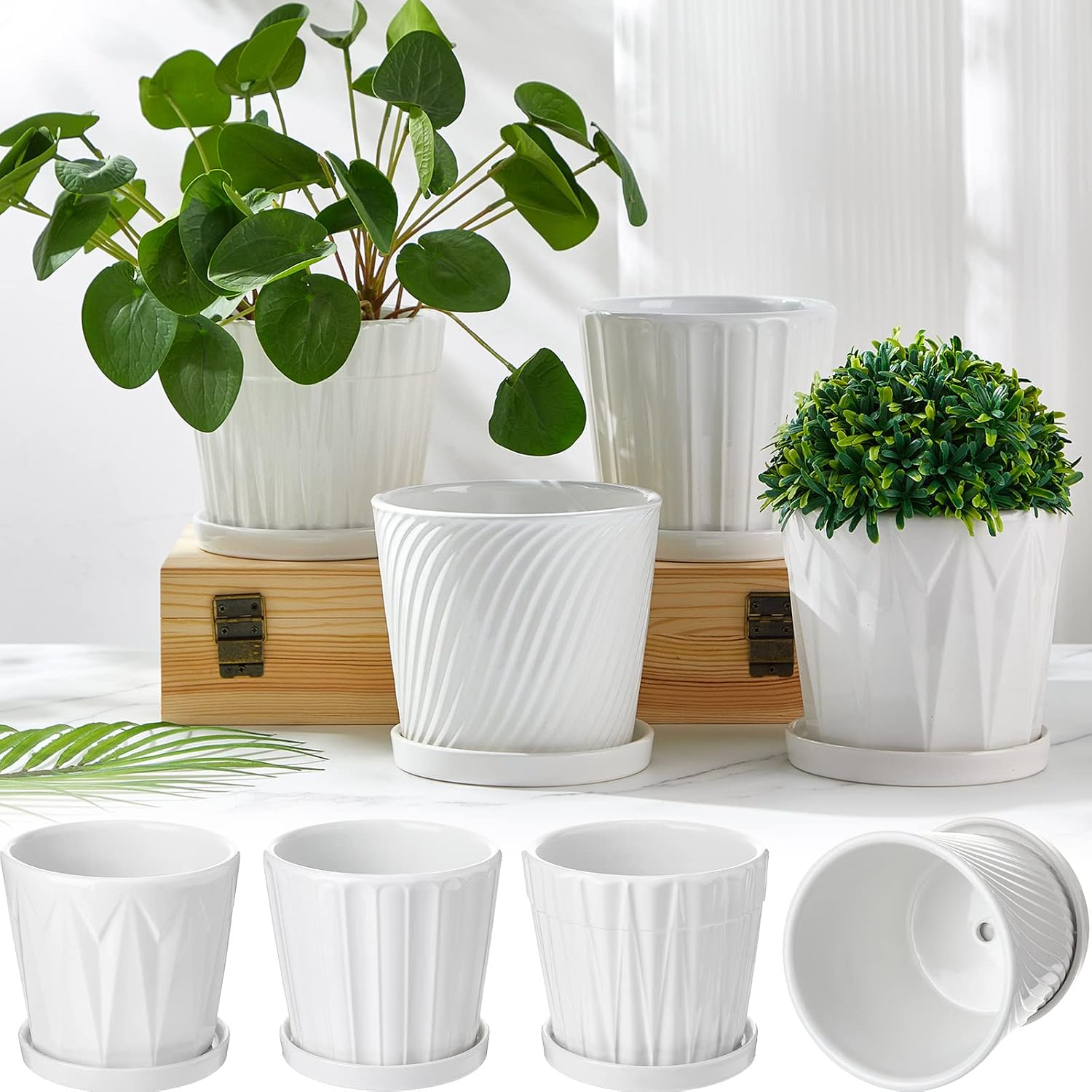 Amazon.com : Lallisa Plant Pots 8 Pcs Cylinder Ceramic Planters, 5.51 ...