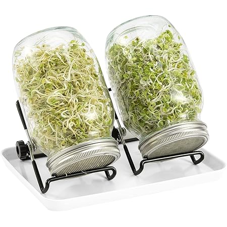 Amazon.com : 2 Seed Sprouting Jar Kit, Wide Mouth Quart Sprouting Jars ...