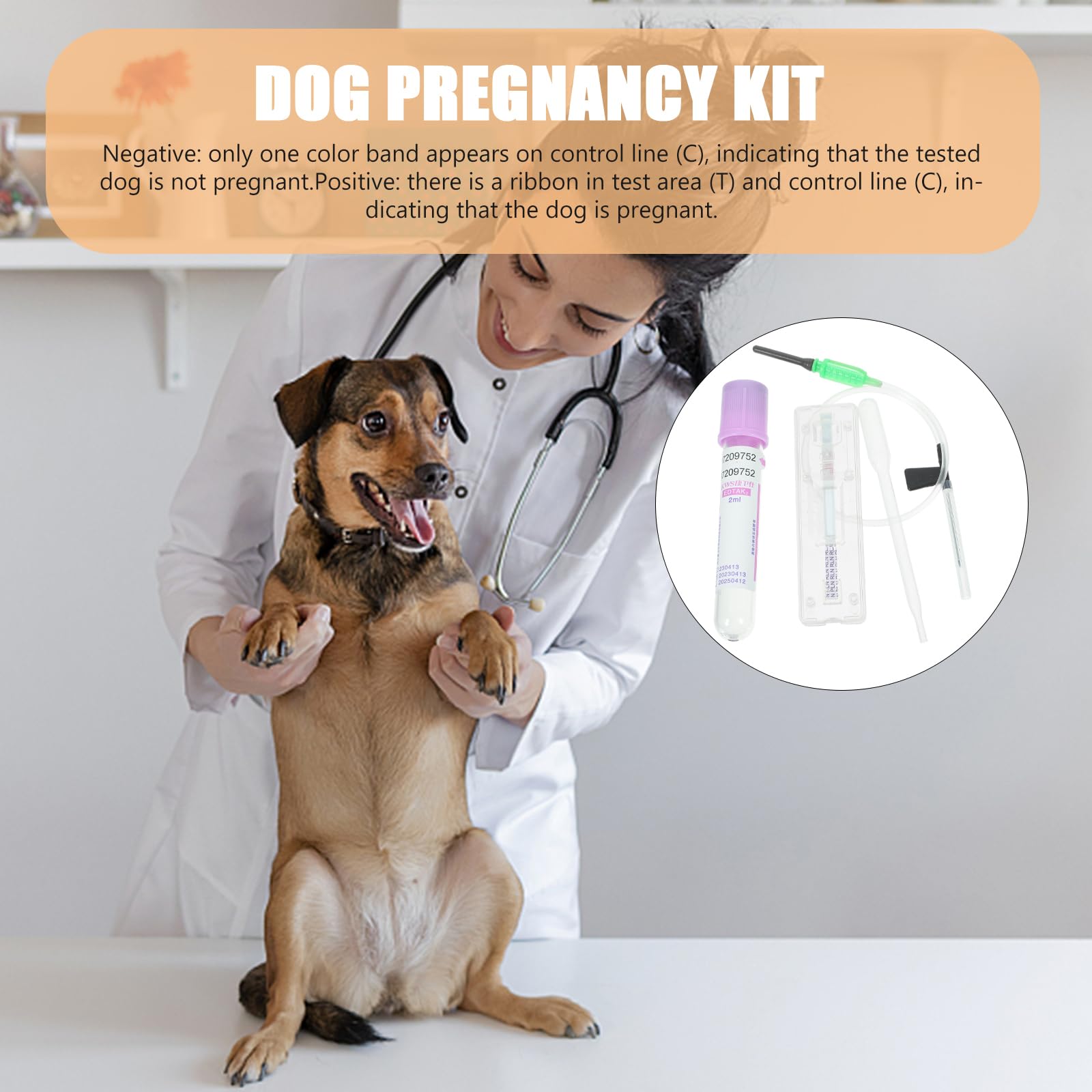 Dog Pregnancy Test Rapid Canine Pregnancy Test Kit 10 Pack For