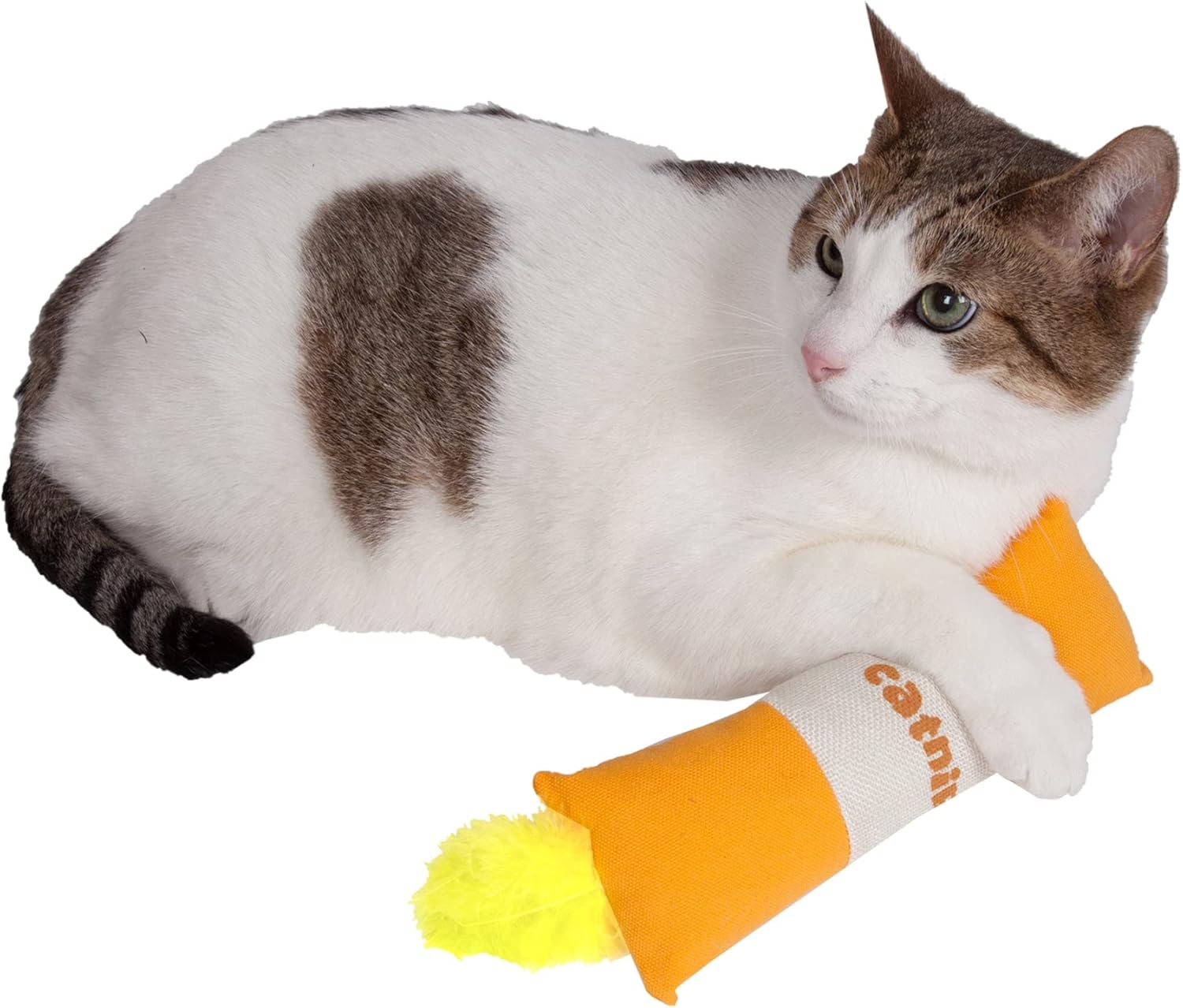 Amazon.com : Pet Life ® Rectangular Duffle Crinkle Plush Faux Fur ...