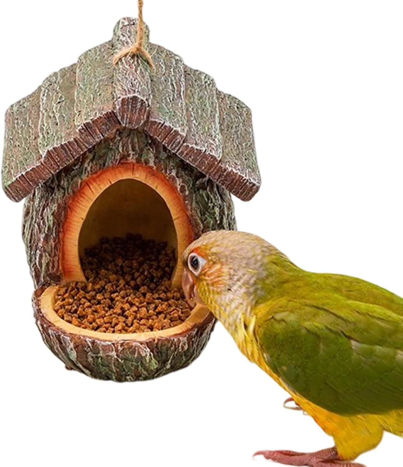 Amazon.com : Bird House Feeder Open Design Feeding Birdhouse Decorative ...