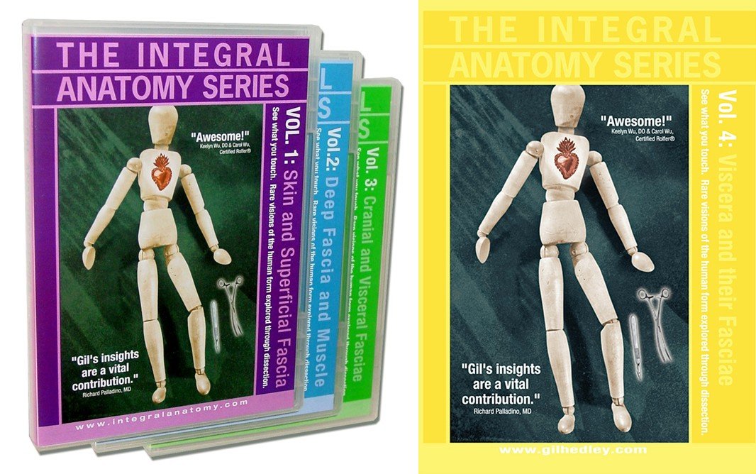 Buy Integral Anatomy Series 4 DVD Set - Gil Hedly Presents Whole Body ...