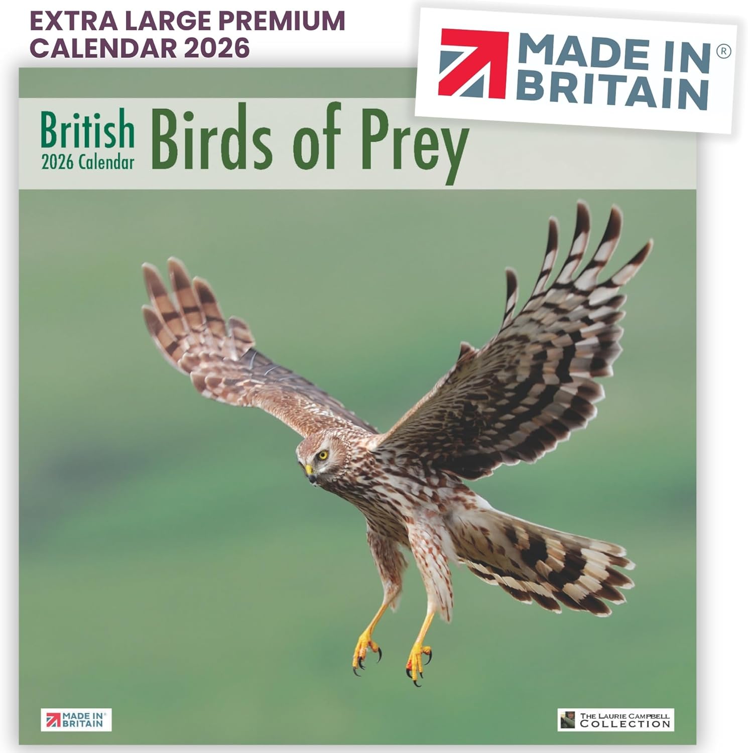 ALLTRADE Calendar 2026 British Birds of Prey Large Premium Wall 2026 ...