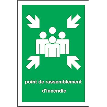Panneau point de rassemblement + Picto – PVC - A2: Amazon.fr: Bricolage