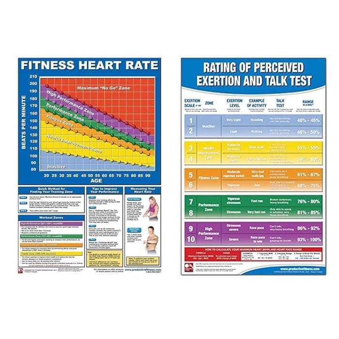 Buy Productive Fitness Laminated Fitness Poster - Heart Rate Guidelines ...