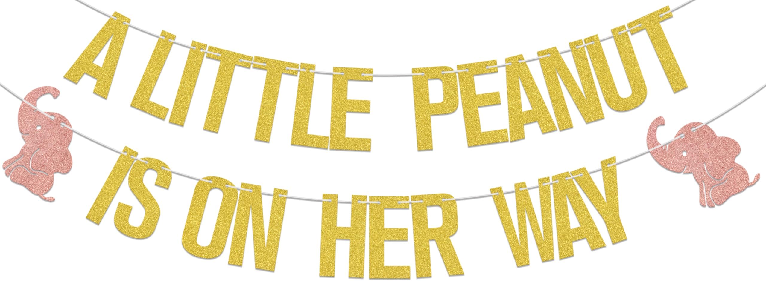 Amazon.com: A Little Peanut is on Her Way Banner, Sweet Little Peanut ...