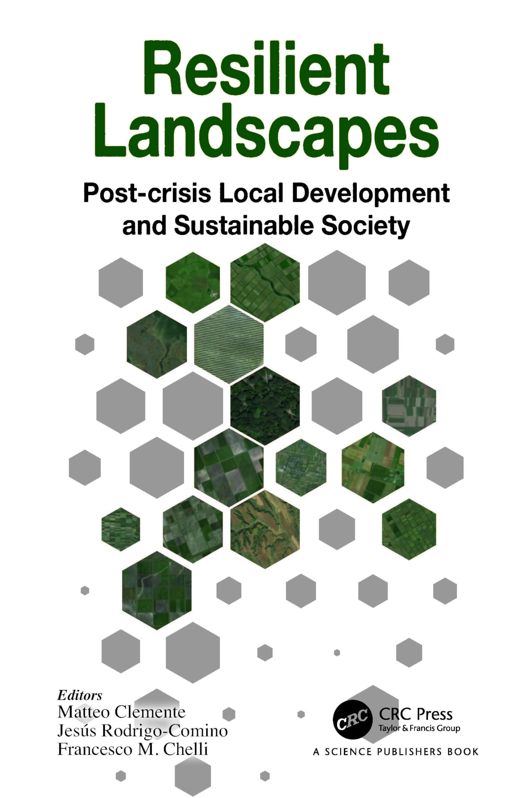 Amazon | Resilient Landscapes: Post-crisis Local Development and ...