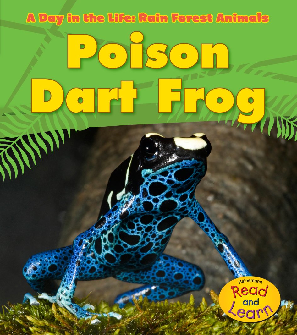 Amazon.com: Poison Dart Frog (A Day in the Life: Rain Forest Animals ...