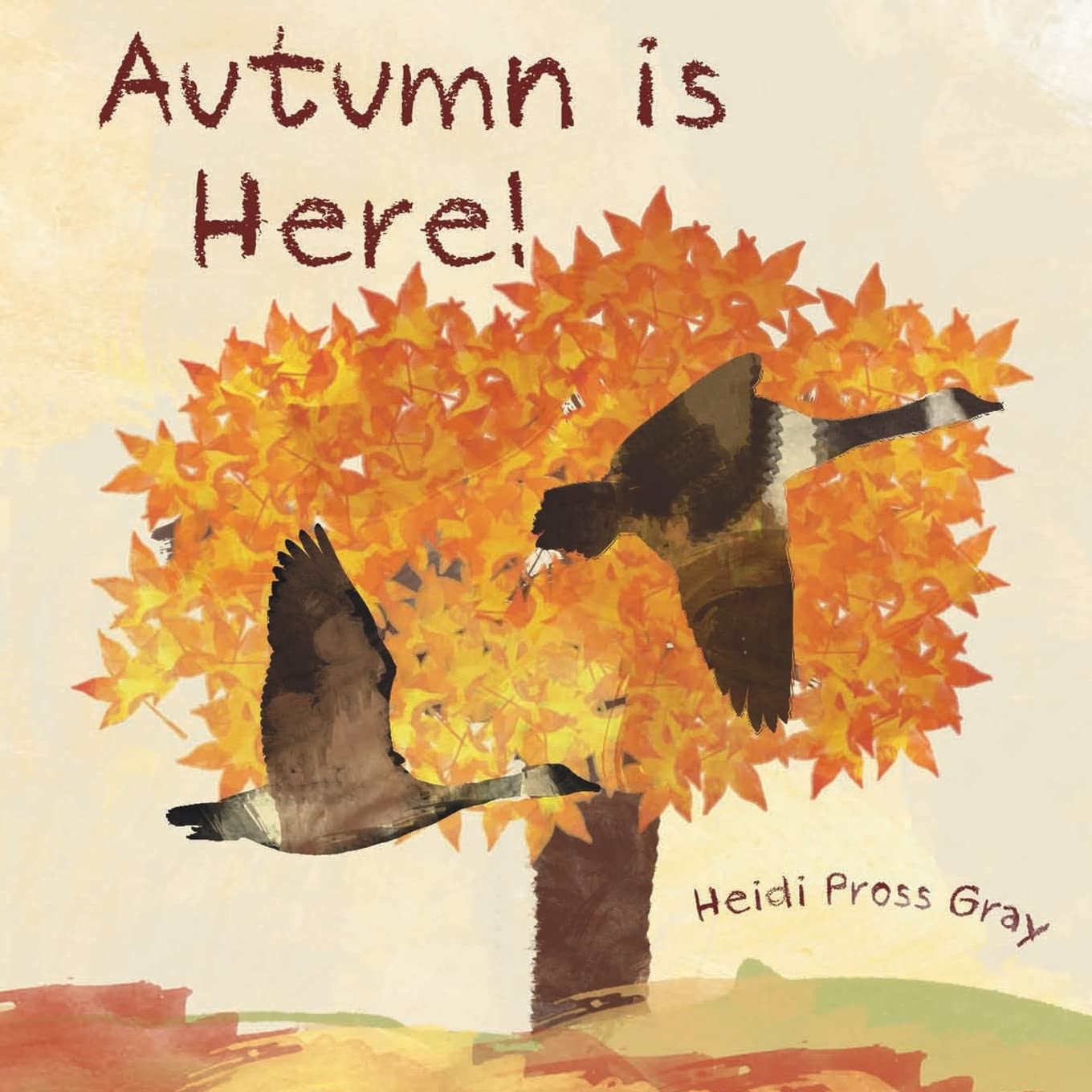 Autumn is here!: Gray, Heidi Pross: 9781479344116: Amazon.com: Books