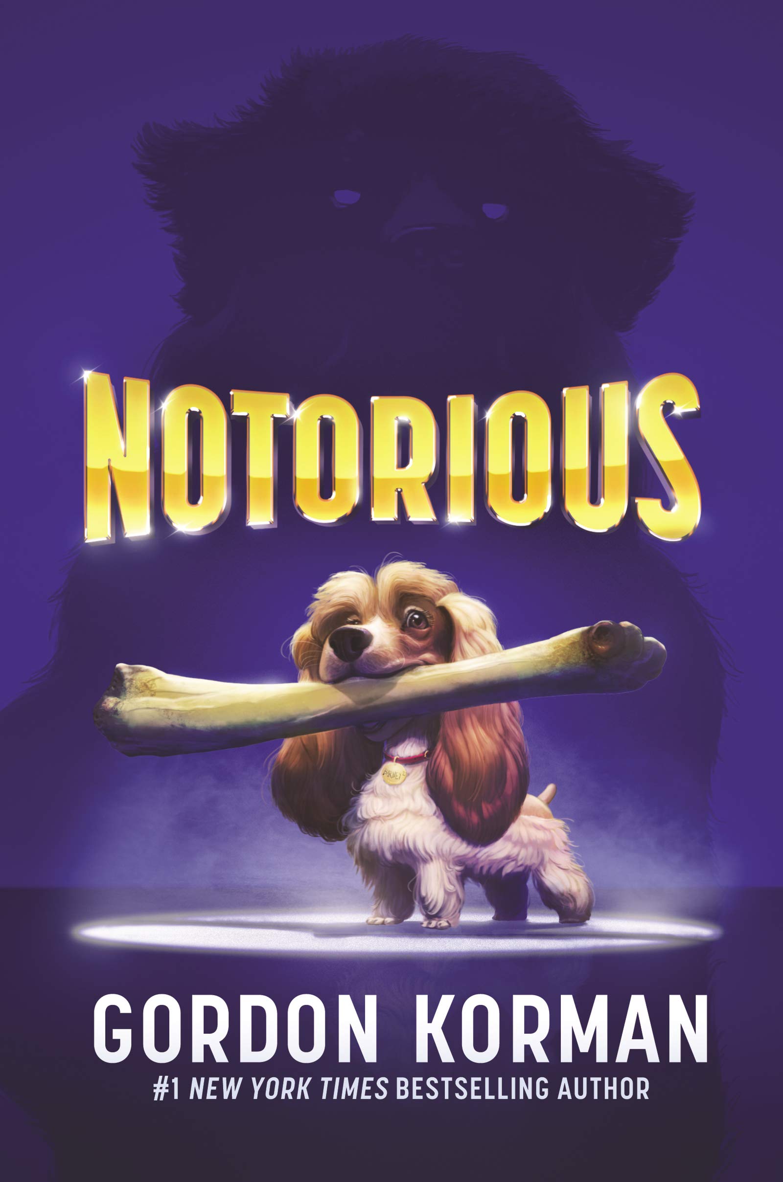 Notorious: Korman, Gordon: 9780062798862: Amazon.com: Books