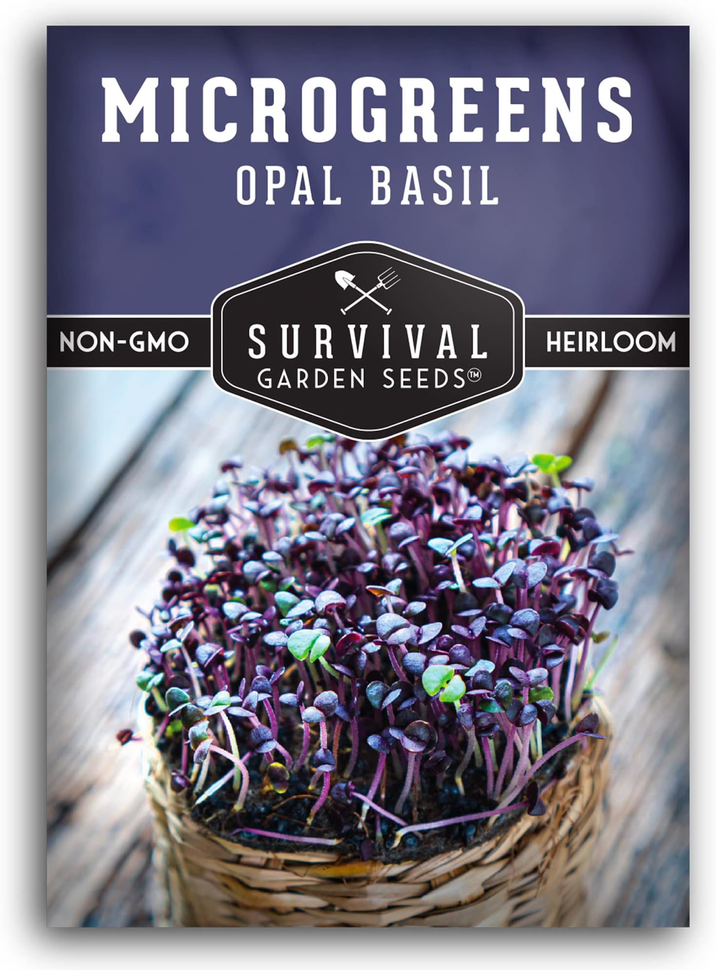 Amazon.com : Genovese Basil Microgreens Seeds - 1 Lb ~256,000‬ Seeds ...
