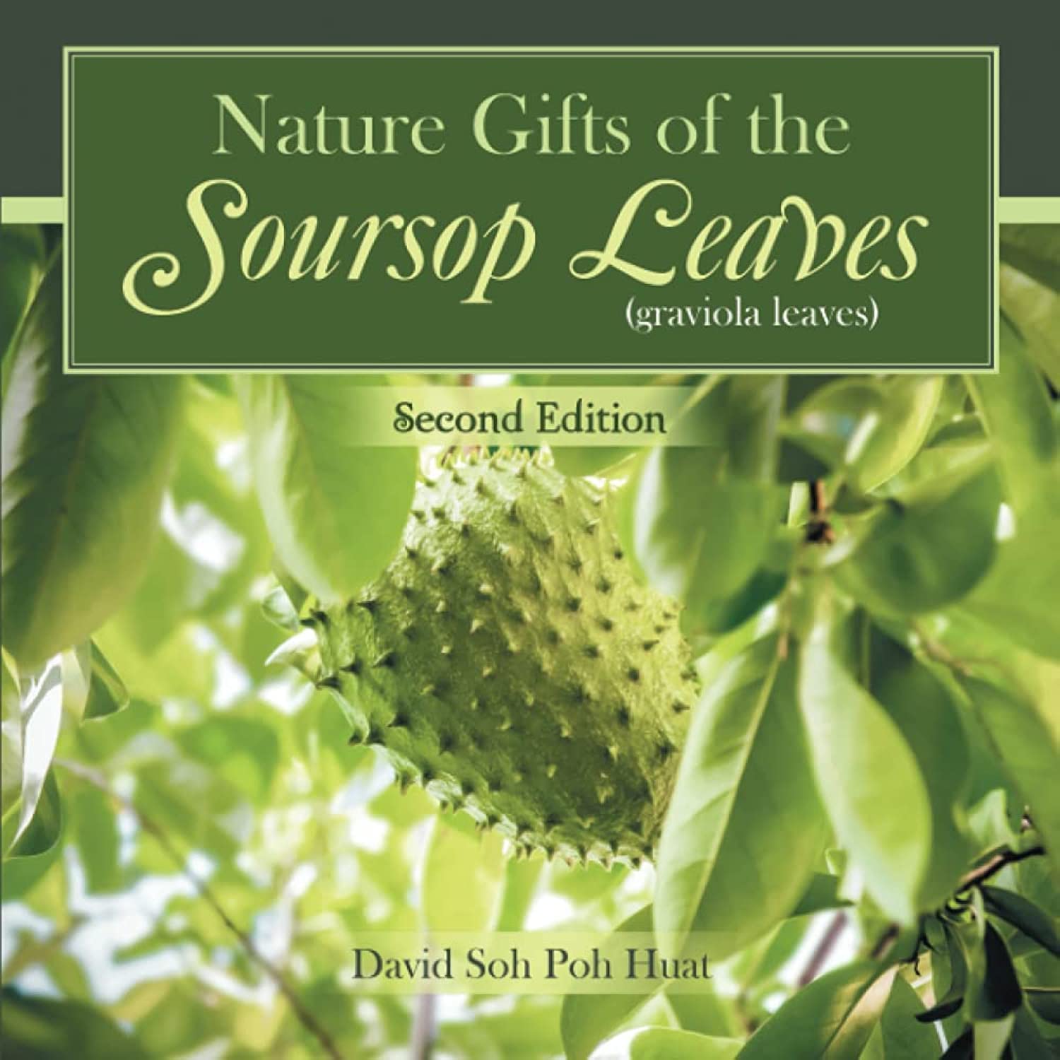 Nature Gifts Of The Soursop Leaves Graviola Leaves | Desertcart Ireland