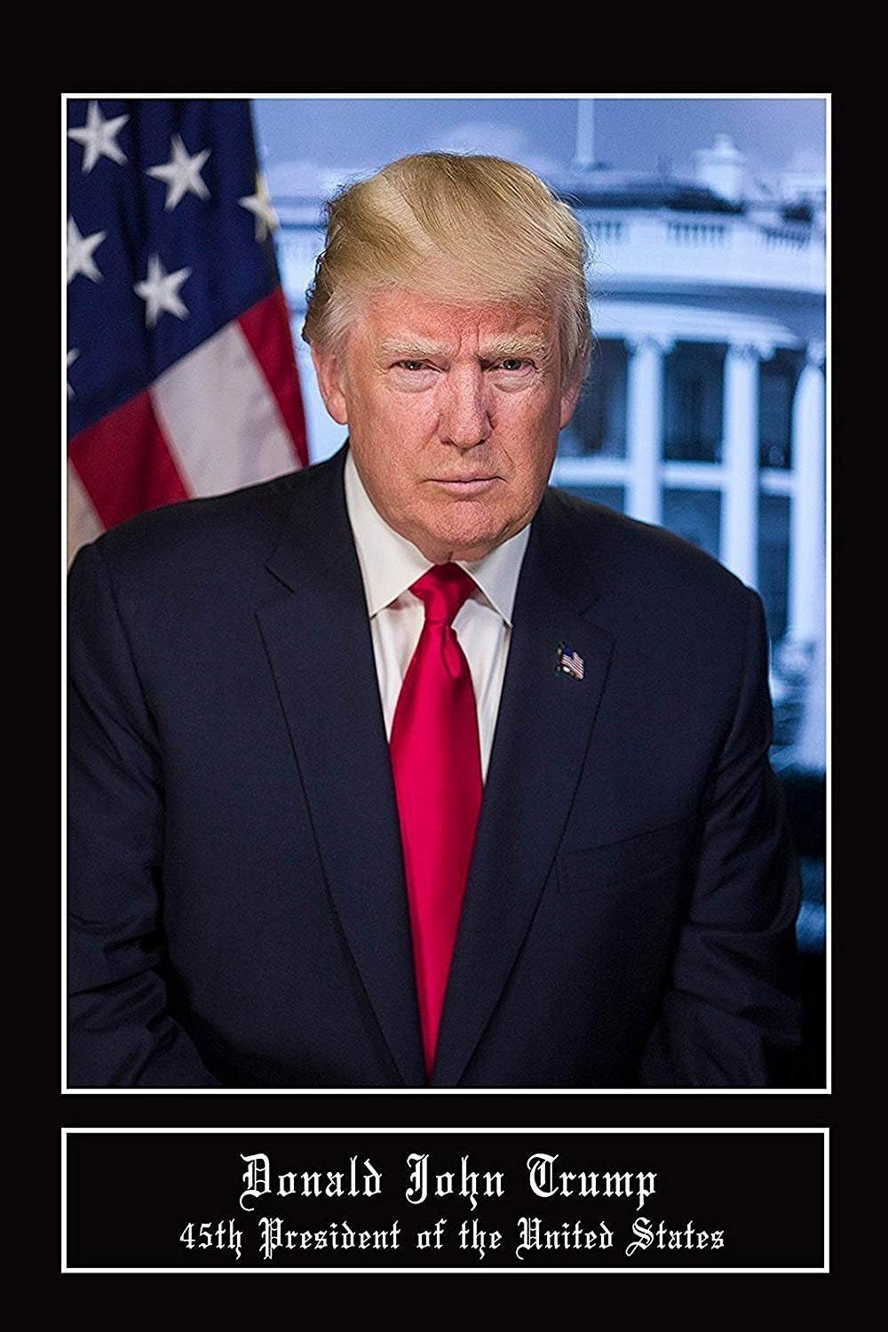 Amazon.com: by ultimate poster President Donald Trump Poster President ...
