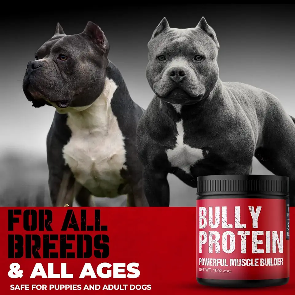 Dogs And Whey Protein: Safe Or Risky? | PetShun