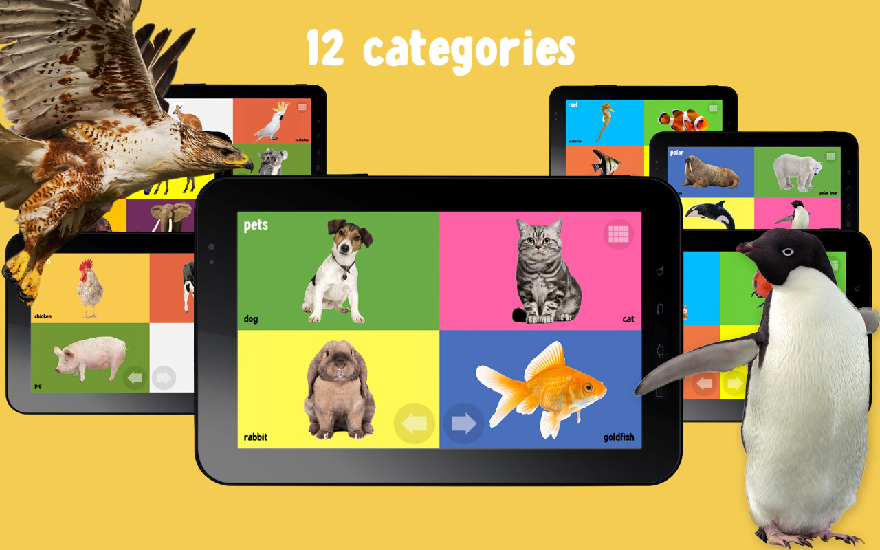 Baby 100 Animals Lite - App on the Amazon Appstore