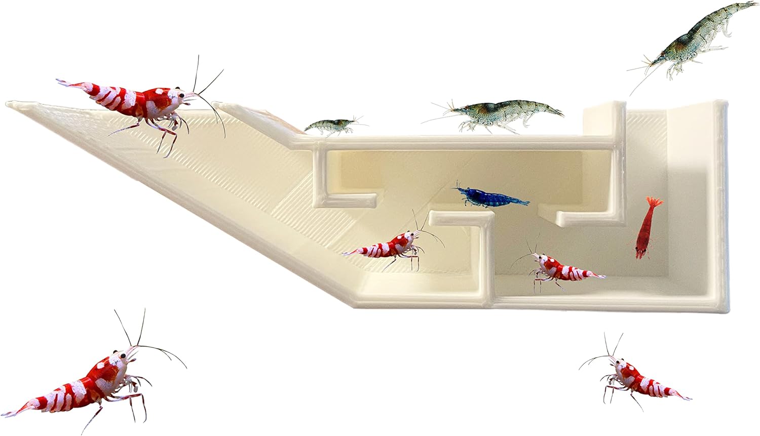 Amazon.com: 3DAquaticSolutions Aquarium Shrimp Party Tunnel, Includes ...