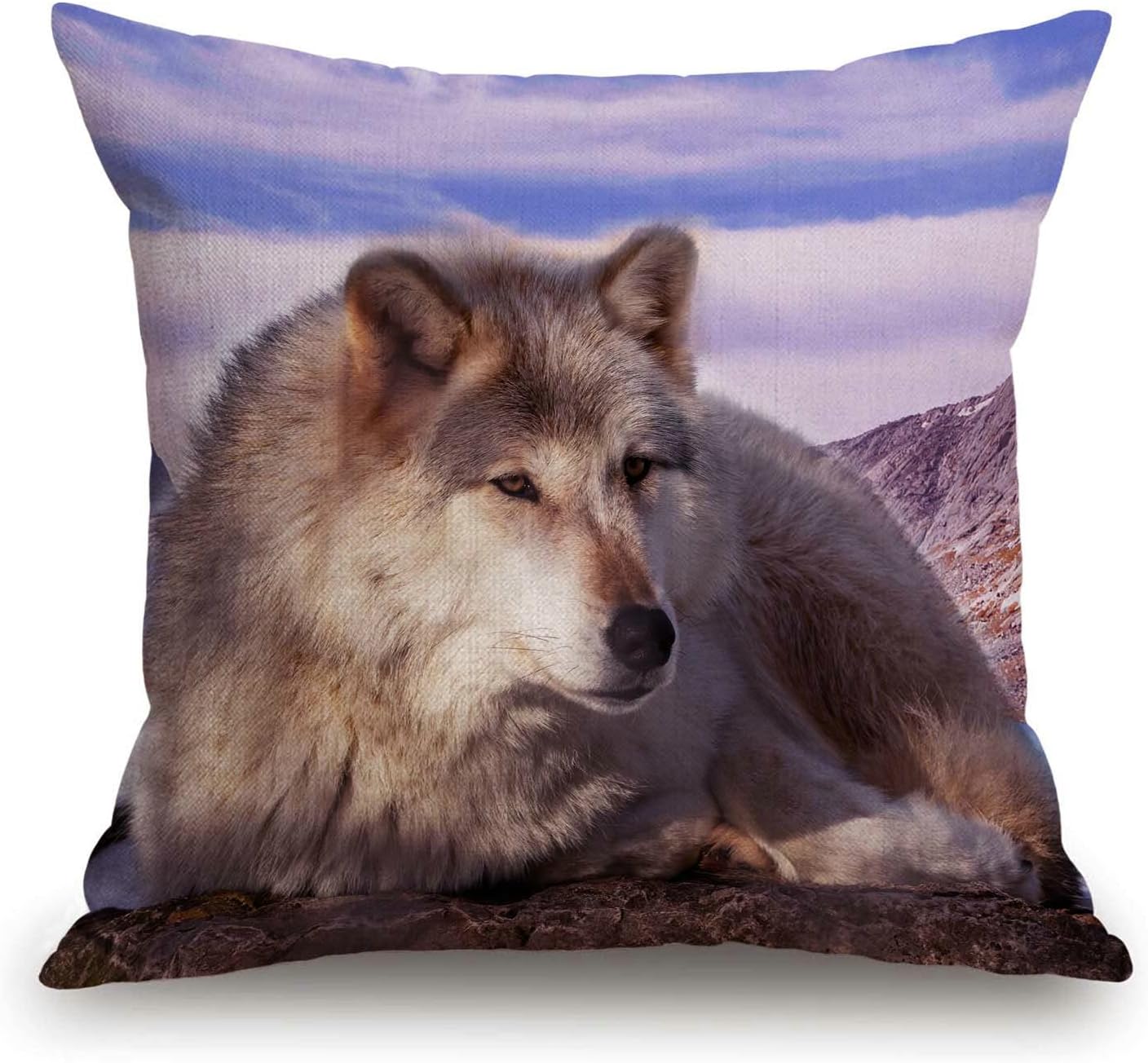Amazon.com: Grey Wolf Pillow Cover 18x18 Inch, Timber Wolf in Winter ...