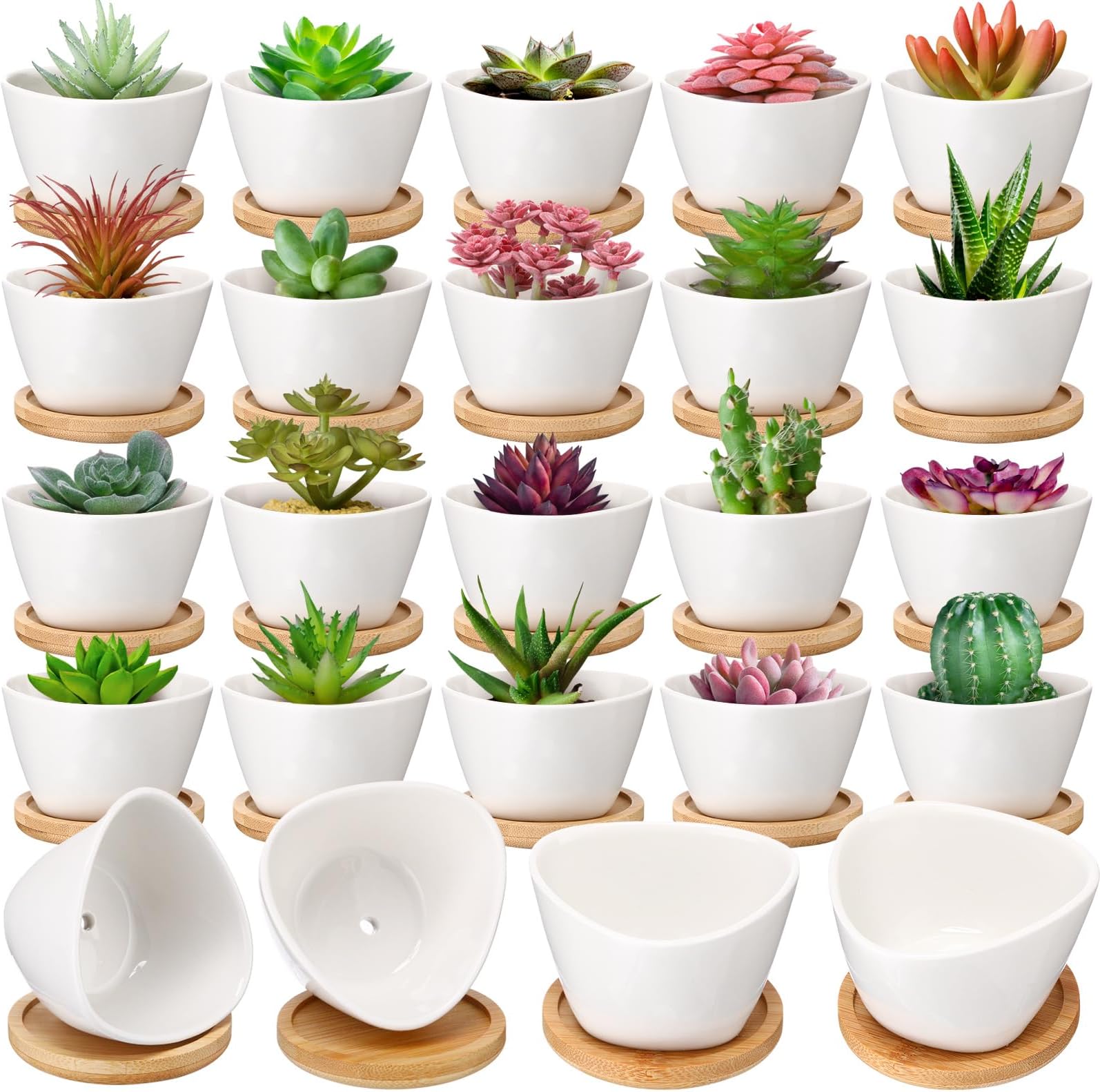 Amazon.com: Domensi Succulent Pots Bulk, 24 Pieces, White Ceramic ...