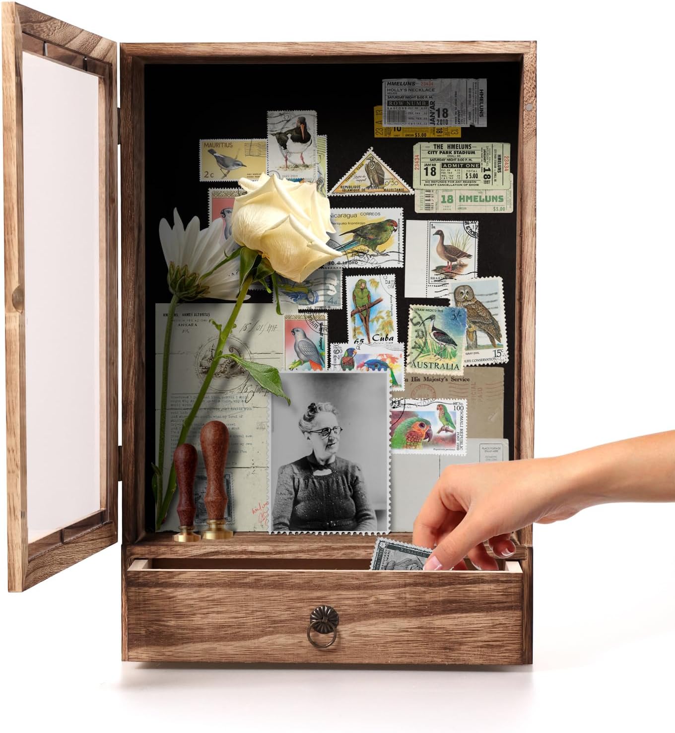 Amazon.com: Pet Memorial Shadow Box,Wooden Collection Display Box,Dog ...