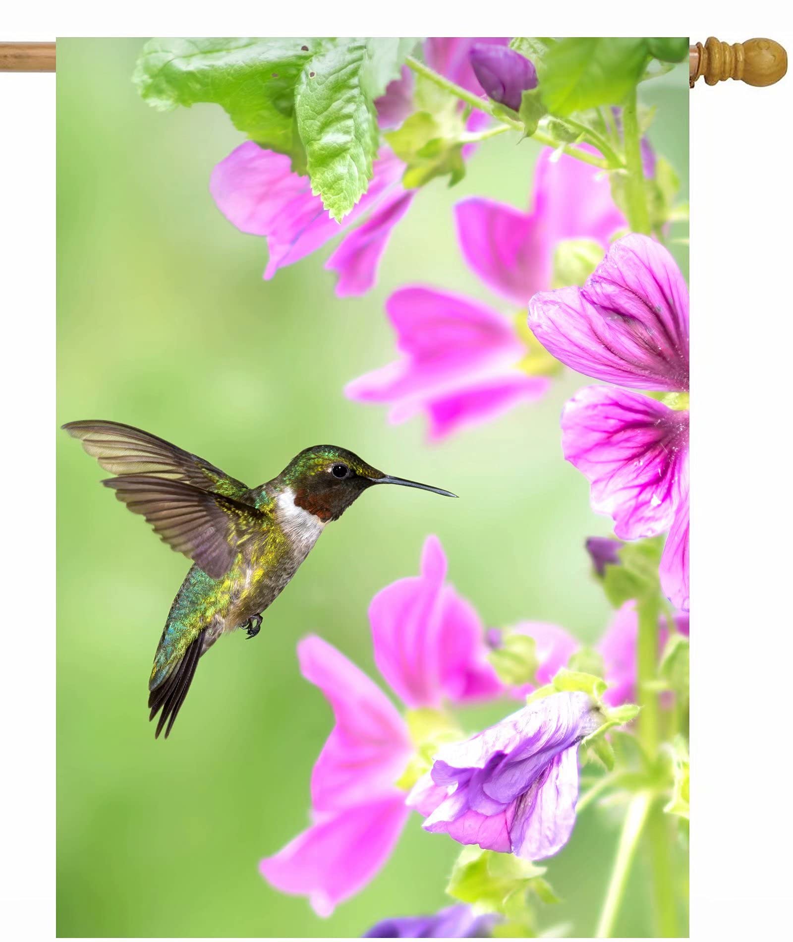 Spring Flowers And Hummingbirds