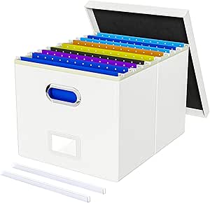 Oterri File Organizer Box,Filing Box with Lid,File Box for Letter/Legal ...