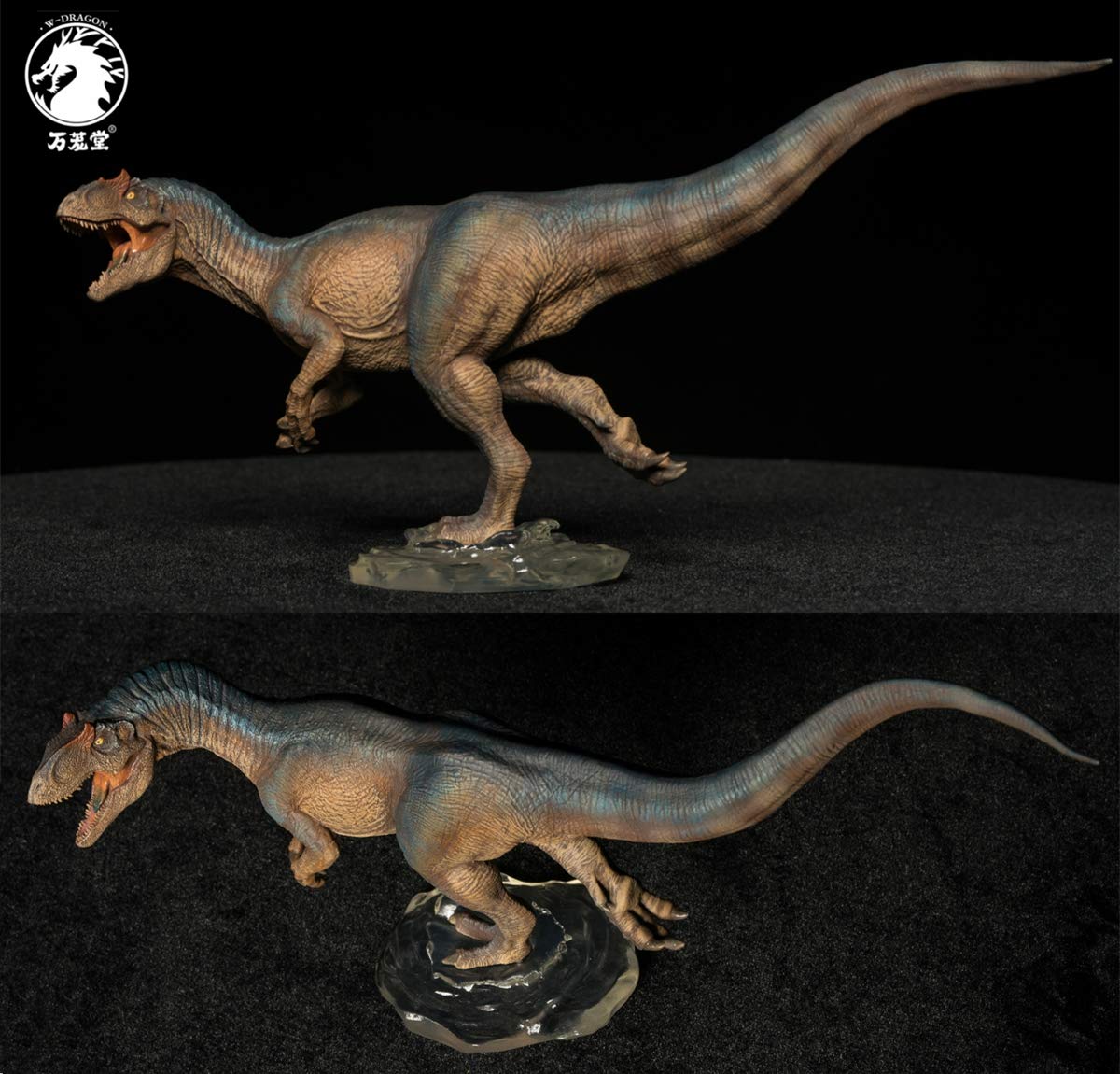 W-Dragon Studio 1/35 Scale Allosaurus fragilis Statue Blue Tongue Pool ...