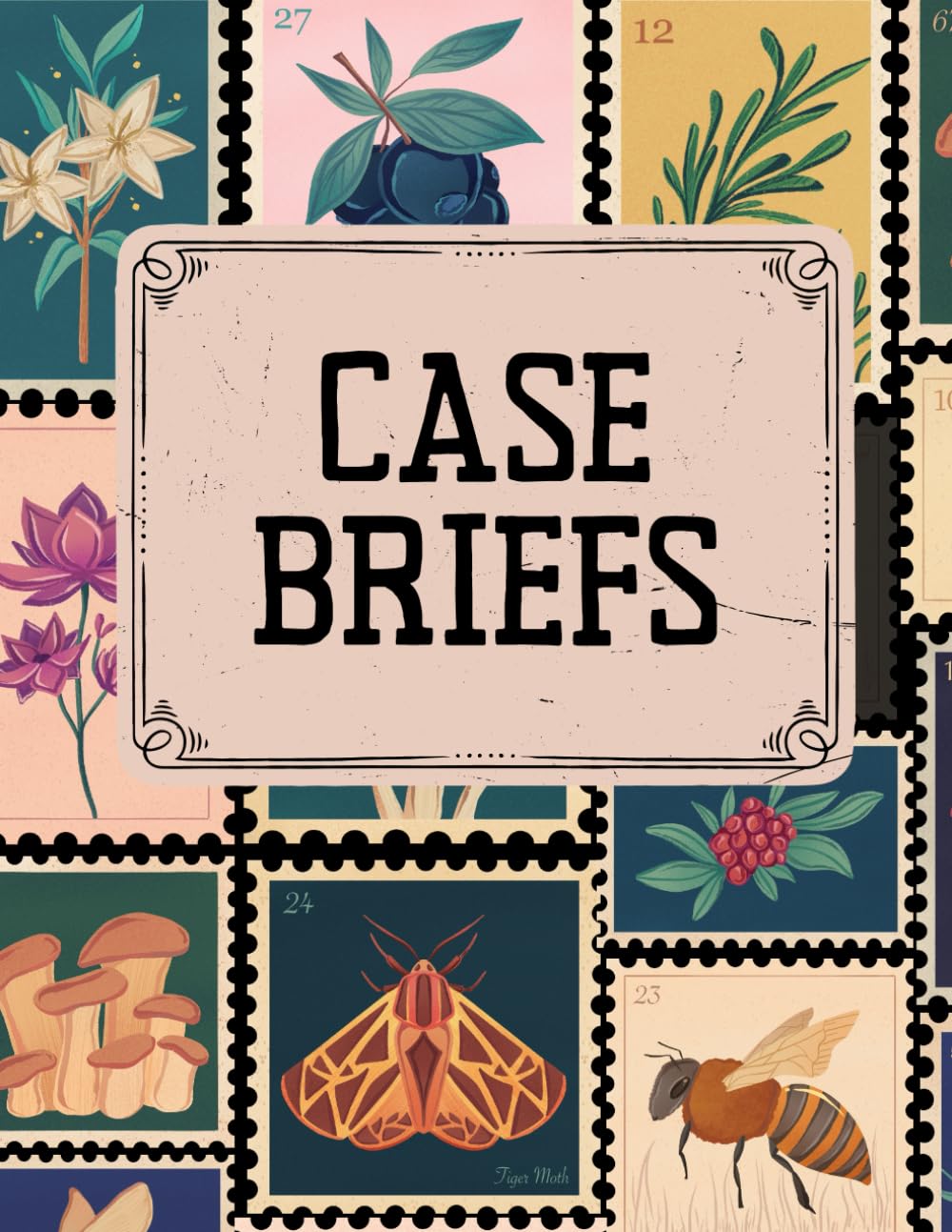 The Ultimate Law School Case Briefing Notebook: By a Law Student, for ...