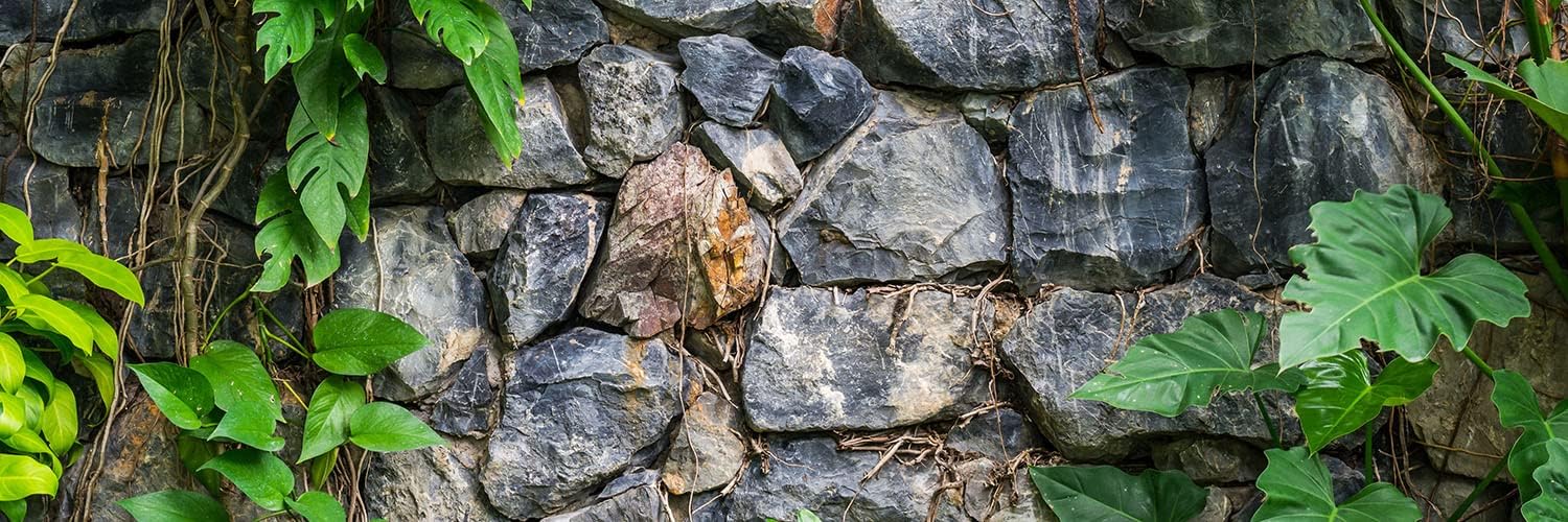 BannersNStands Aquarium Terrarium Backgrounds Main (Rock Wall with ...