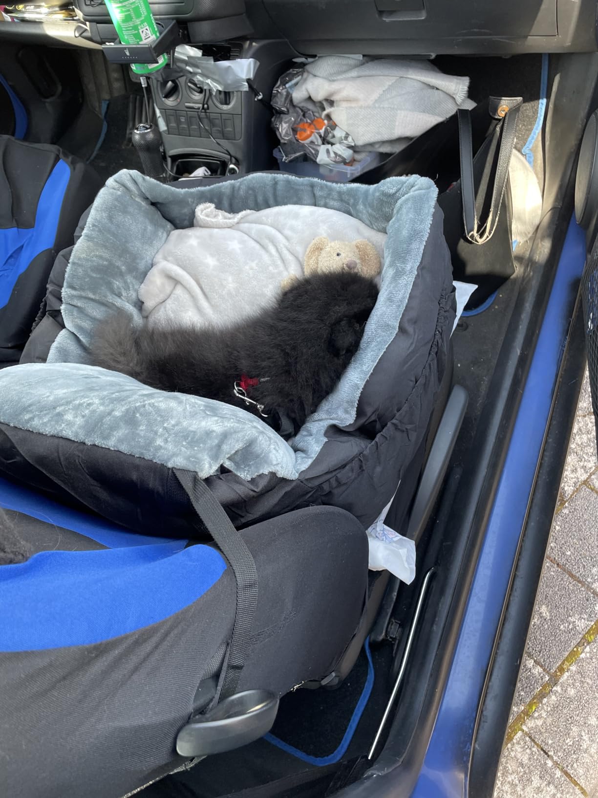 Lannvan Hunde Autositz, rutschfest Hundeautositz Hundesitz Kleine Hunde ...